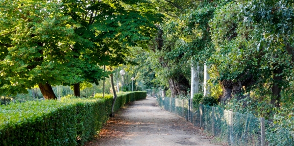 Parque de la Pradera - Parque de la Estación | Descubre Benavente